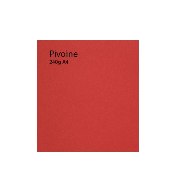 Papier de création A4 en 240 grammes couleur Pivoine